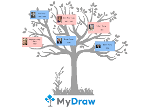 MyDraw Data Import | MyDraw